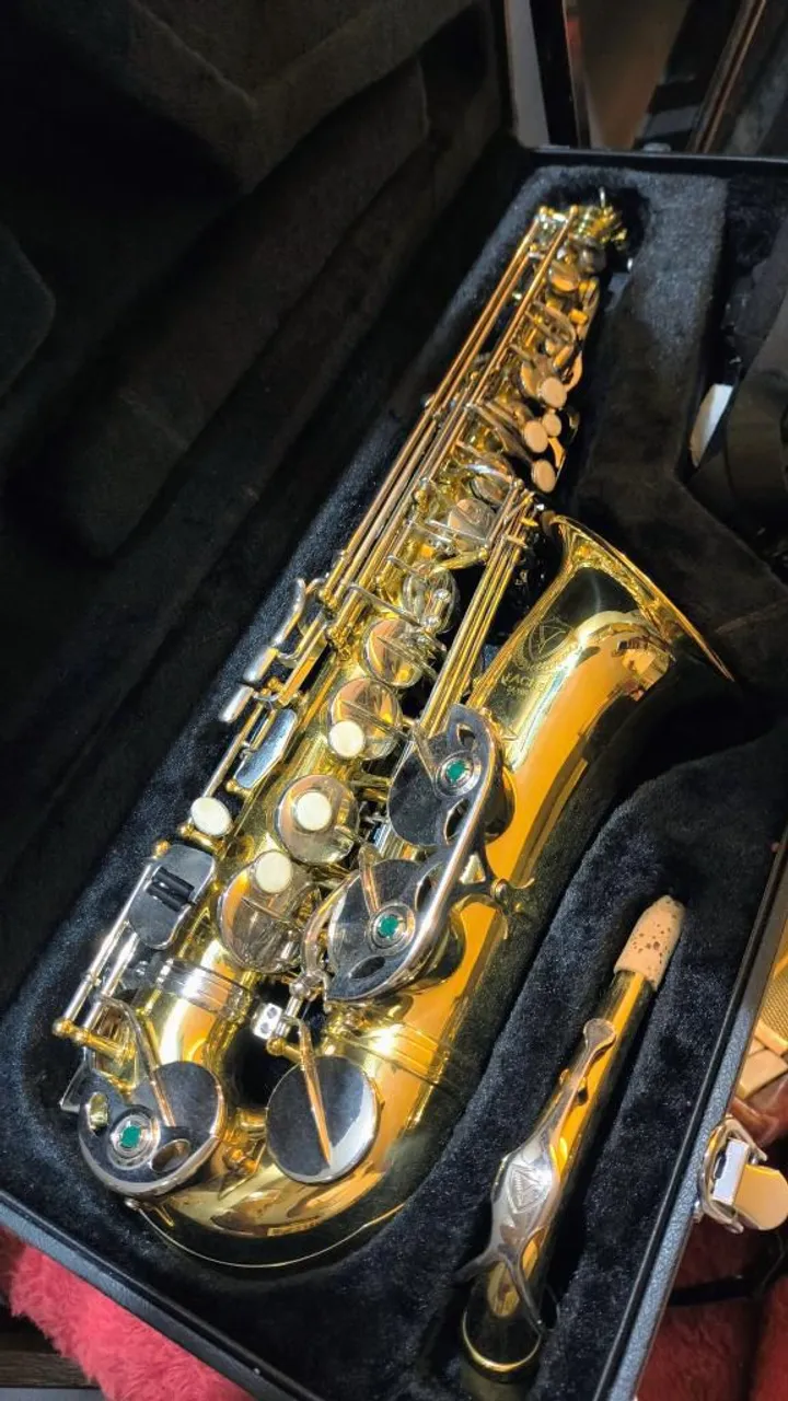 "saxfone alto" no Brasil