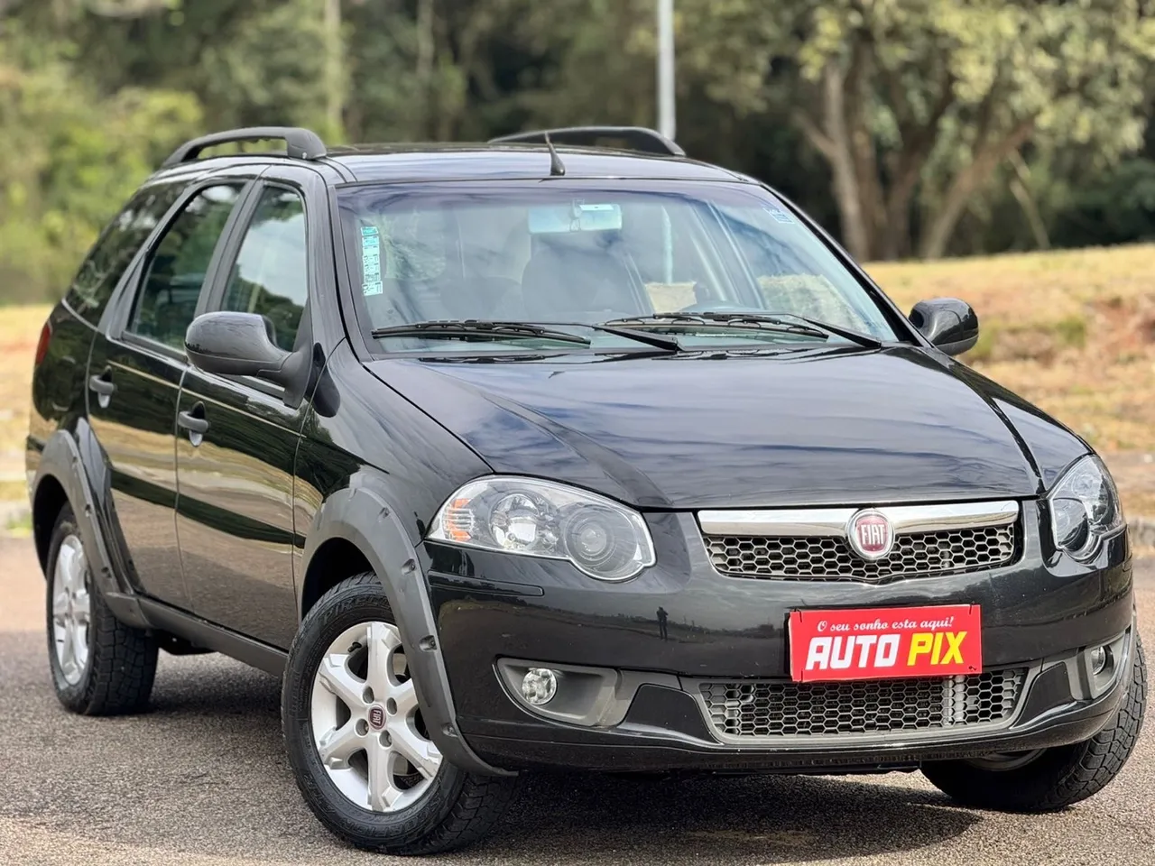 "palio weekend" - Carros Usados e Novos à venda