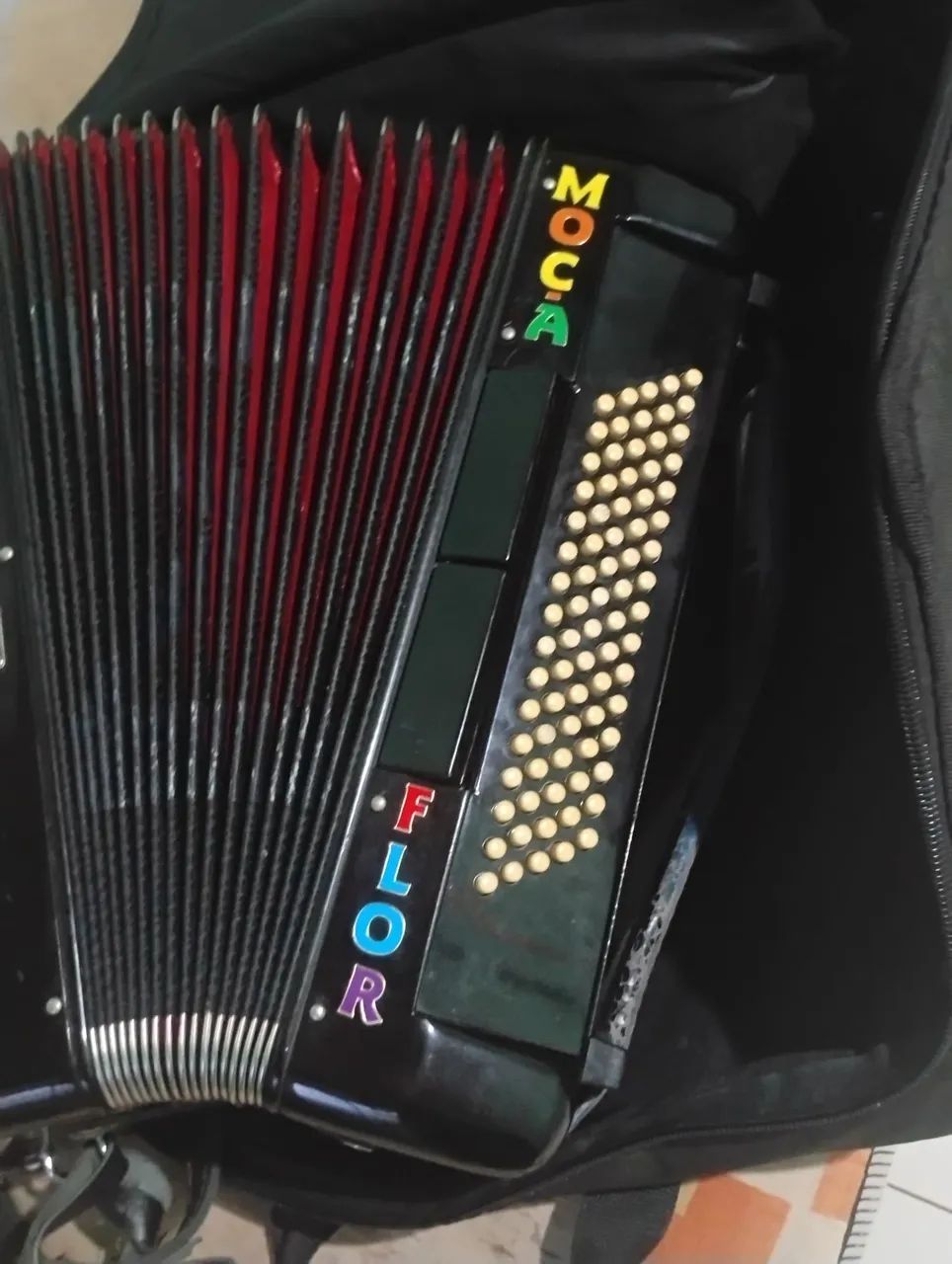 Vendo Acordeon Michael 80 baixos - Instrumentos musicais - Goiânia ...