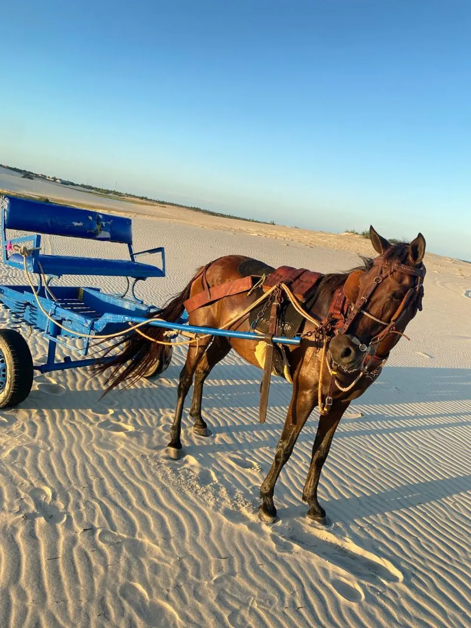 "charrete" no Brasil