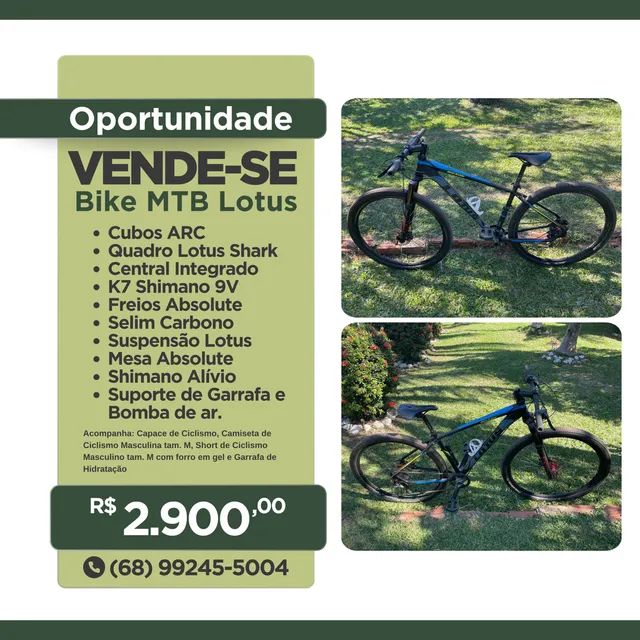 "lotus shark" no Brasil