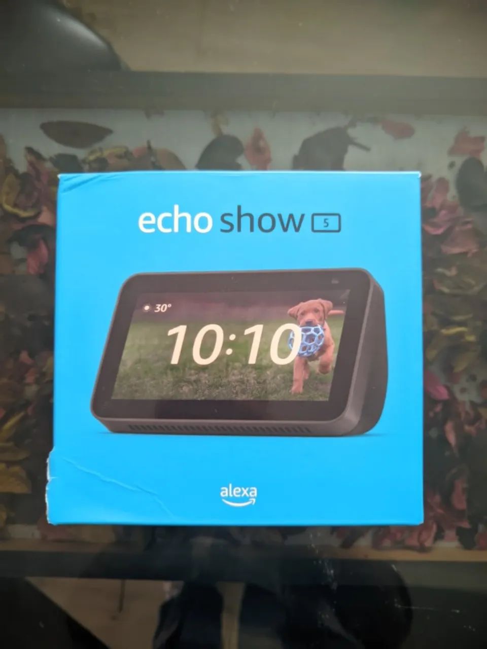 Echo Show 5 Alexa - Dispositivos de Streaming - Bairro Alto, Curitiba 1388220693 | OLX