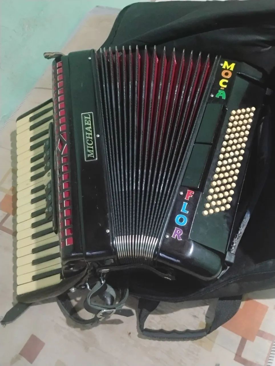 Vendo Acordeon Michael 80 baixos - Instrumentos musicais - Goiânia ...