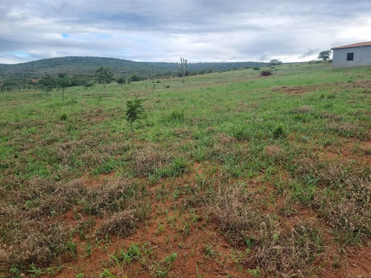 Vendo troco fazenda - Terrenos, sítios e fazendas - Brejões 1472263949 ...