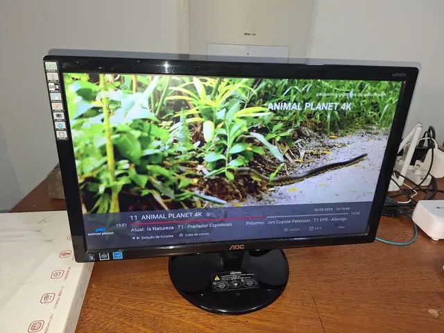 "monitor aoc led 19" no Brasil