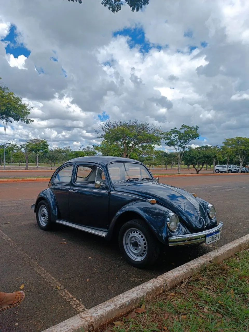 Carros 1976 Usados e Novos à venda