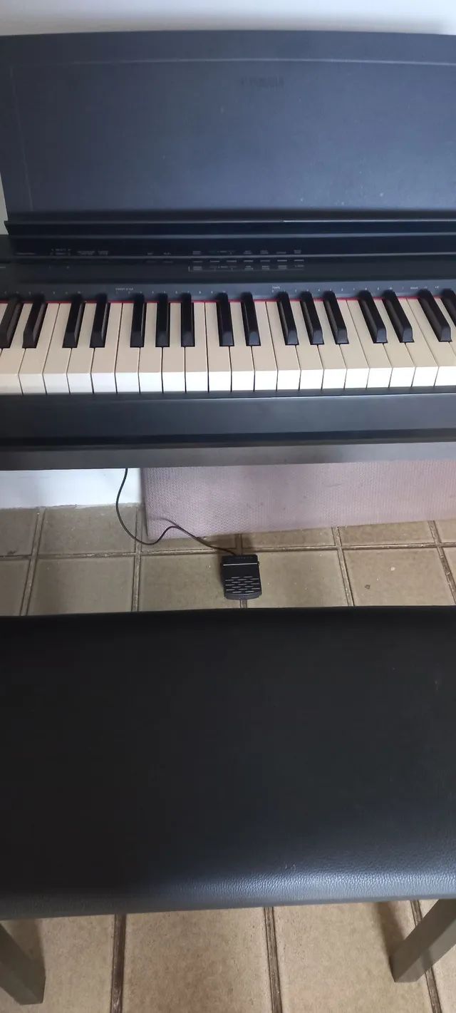 "yamaha p105" no Brasil