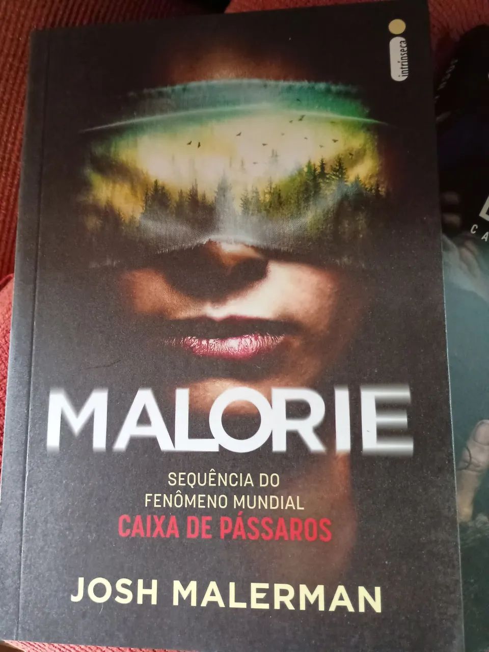 Bird Box -Duologia - Livros e revistas - Planalto, Porto Velho ...