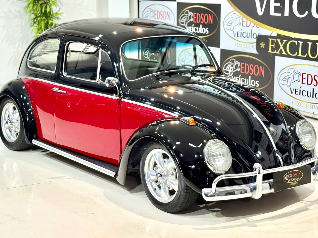 VOLKSWAGEN FUSCA 1965 Usados e Novos