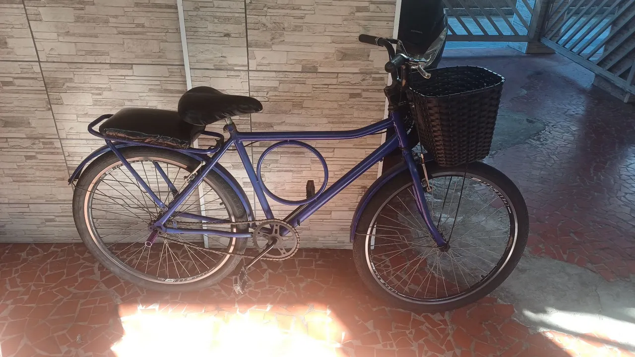 "barra forte circular" no Brasil