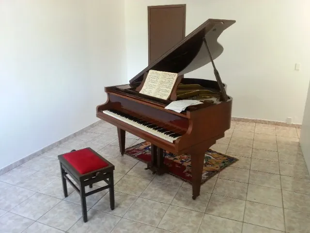 "piano de cauda steinway sons" - Instrumentos musicais no Brasil