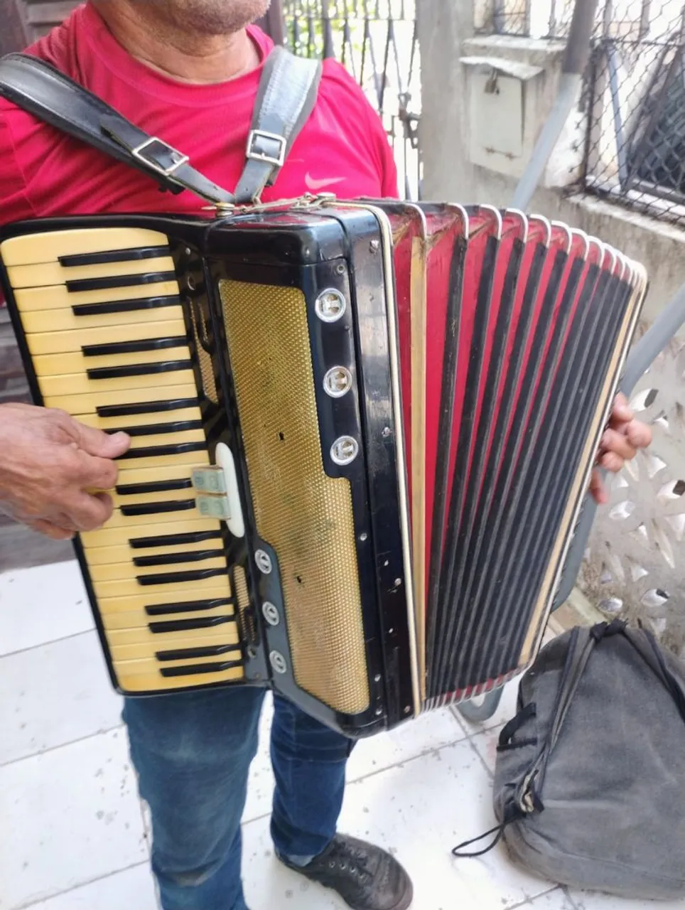 "sanfonas" - Instrumentos musicais no Brasil