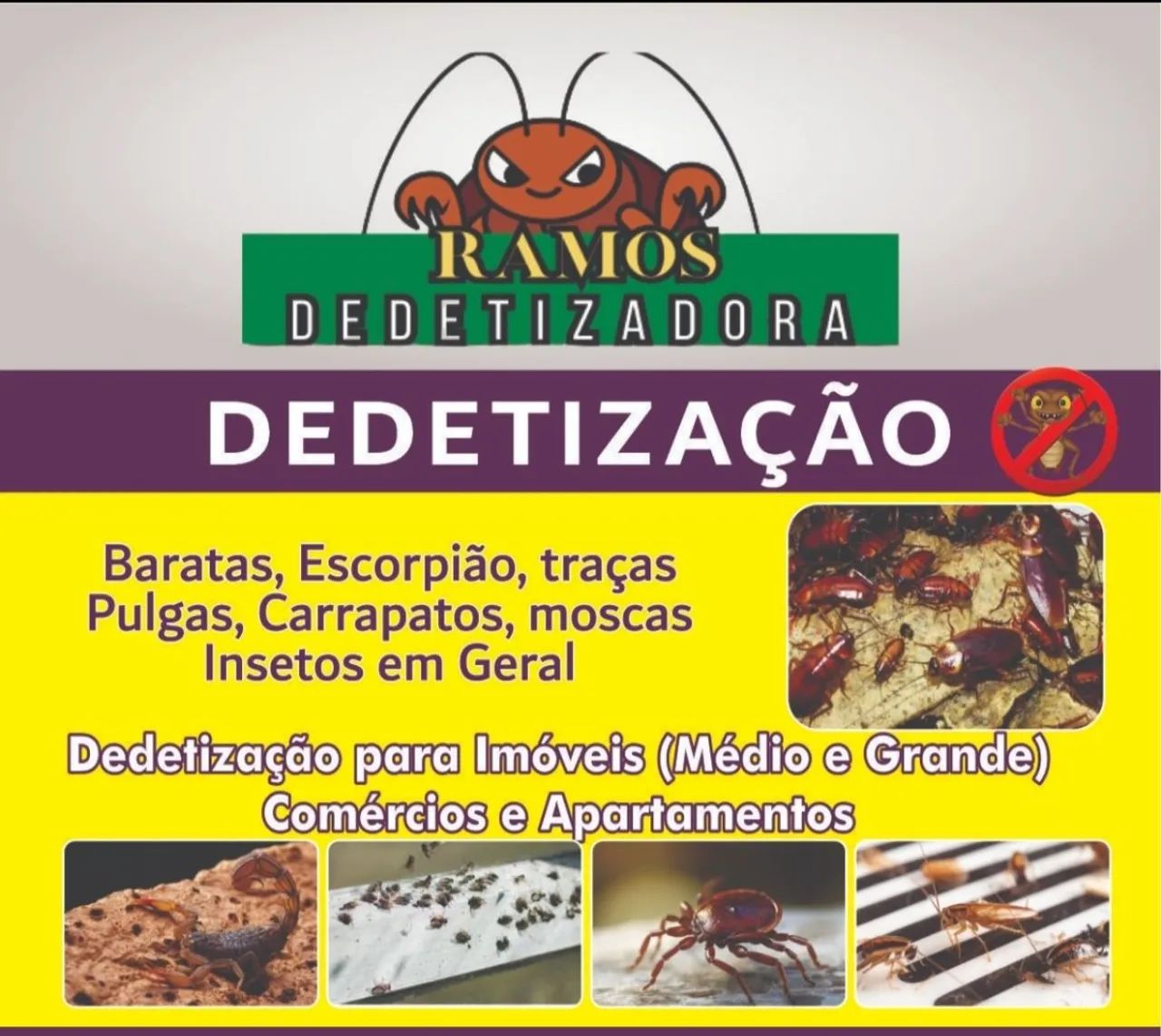 Dedetização baratinhas, escorpião, cupim, baratas - Serviços - Coophema ...