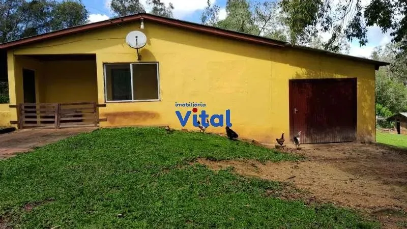 "mariana pimentel" no Brasil