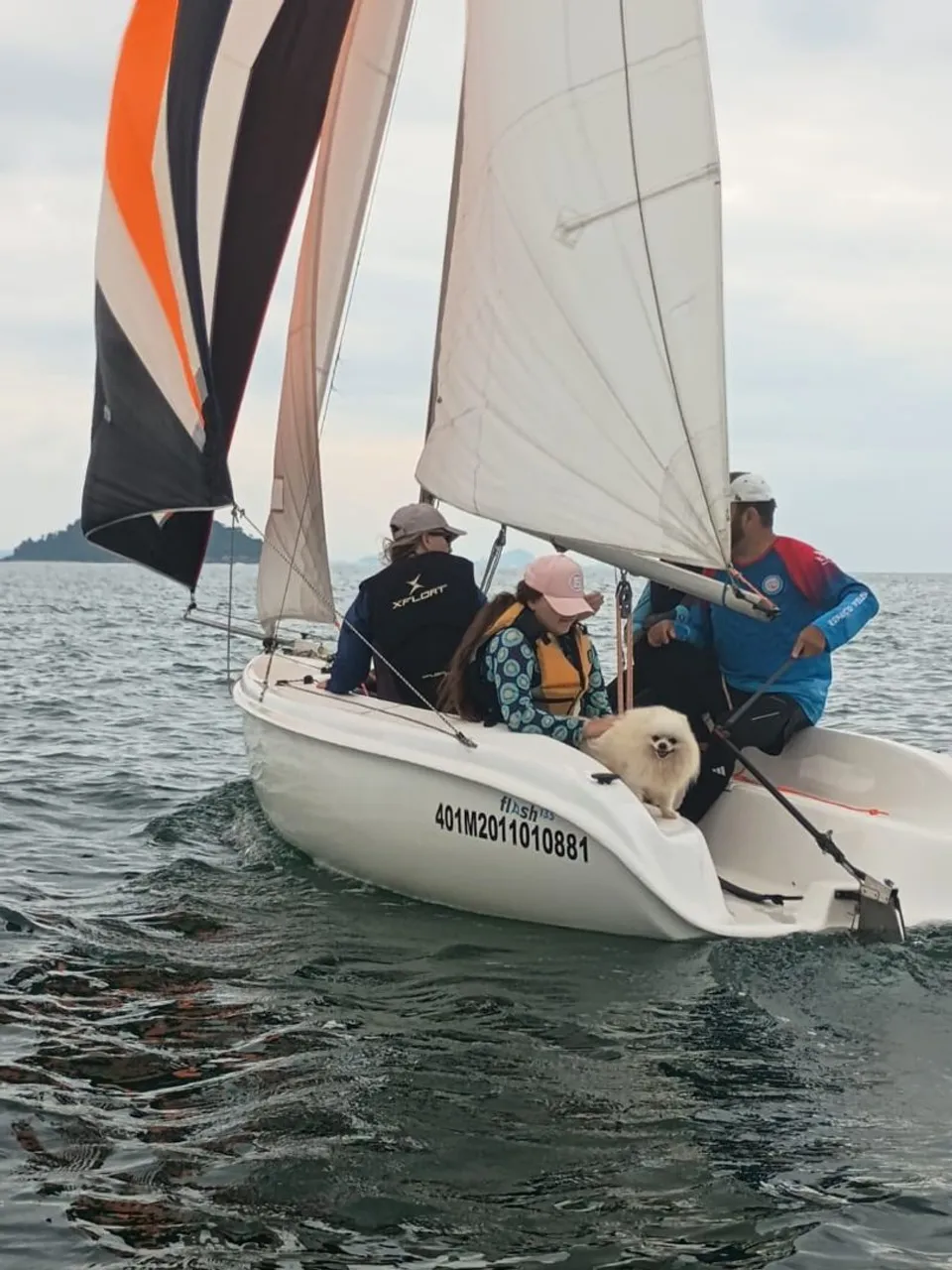 "veleiro 27" no Brasil