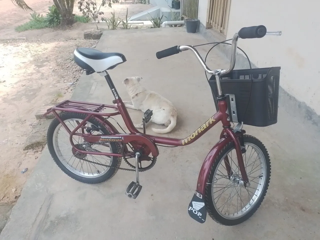"bicicletas monaretas" - Ciclismo no Brasil