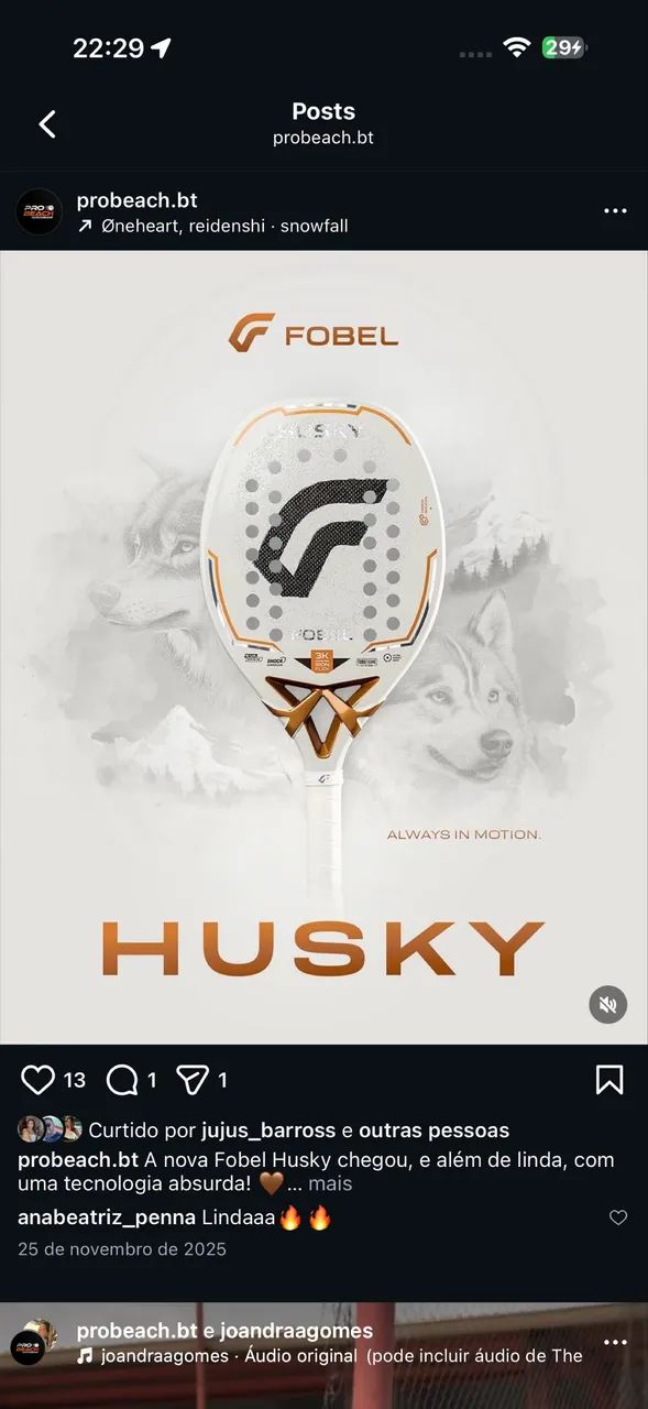 RAQUETE BEACH TENNIS HUSKY 2026 - Esportes de Quadra e Ao Ar Livre ...