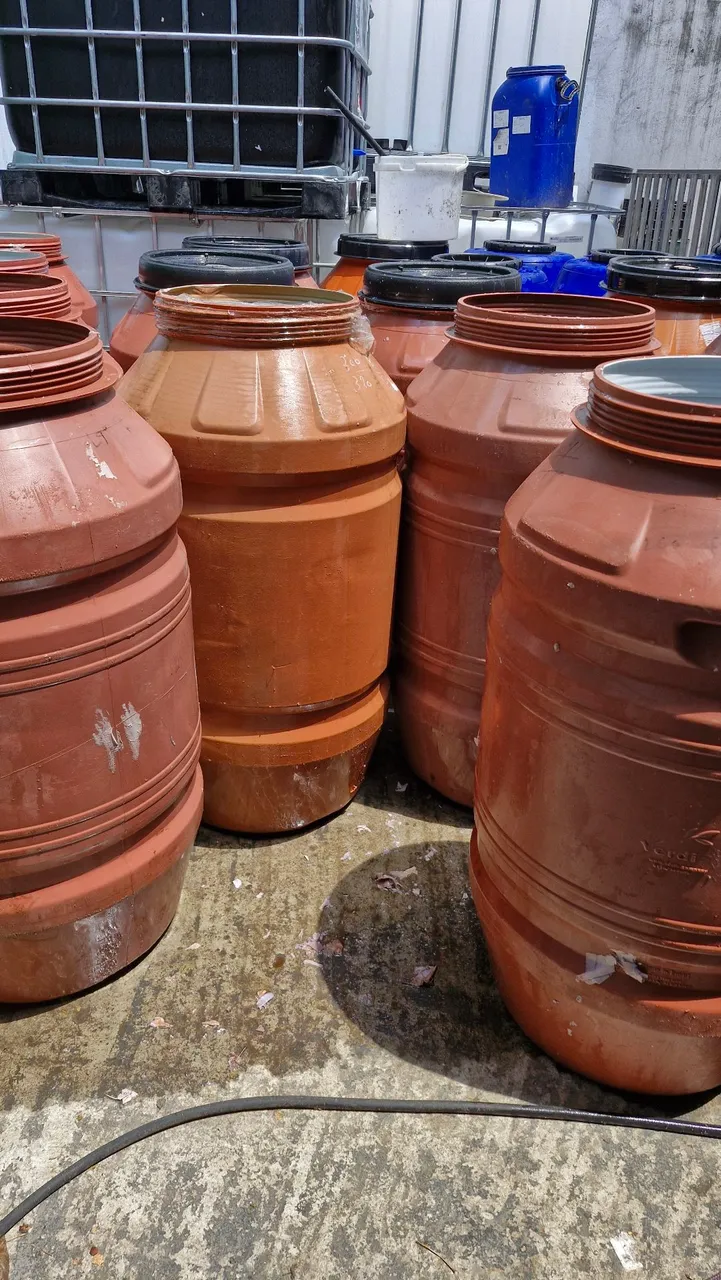 "tonel de 200 litros" no Brasil