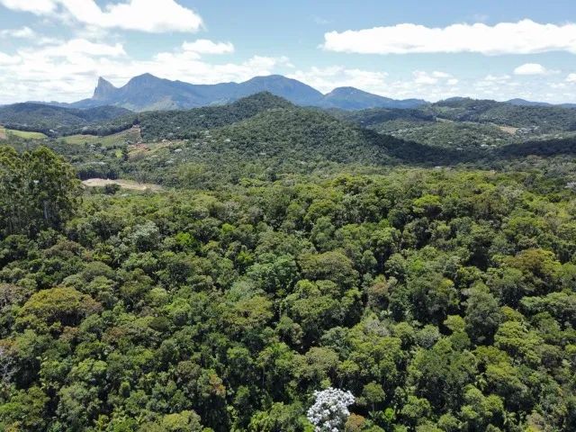 "terreno 1 alqueire" no Brasil