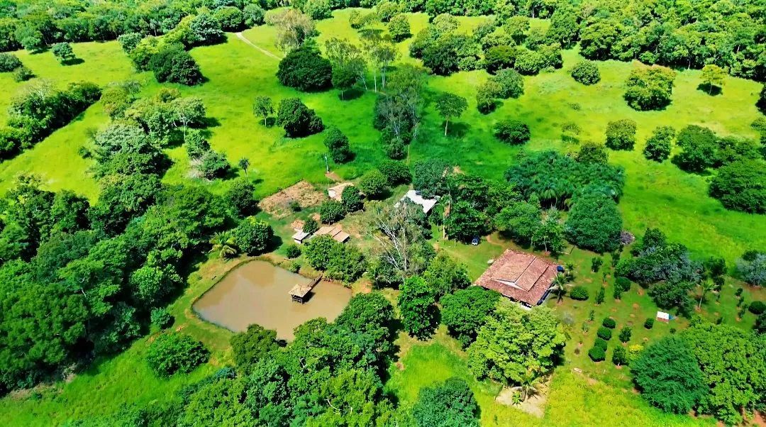 Fazenda com 10 alqueires a 17km de Goiás Velho, distrito de Buenolandia ...