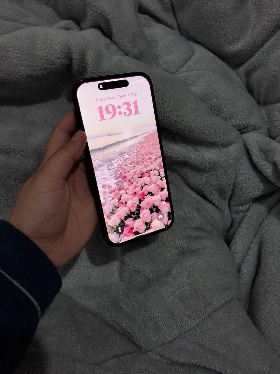 "iphone 29" - Celulares Usados, seminovos e Novos no Brasil