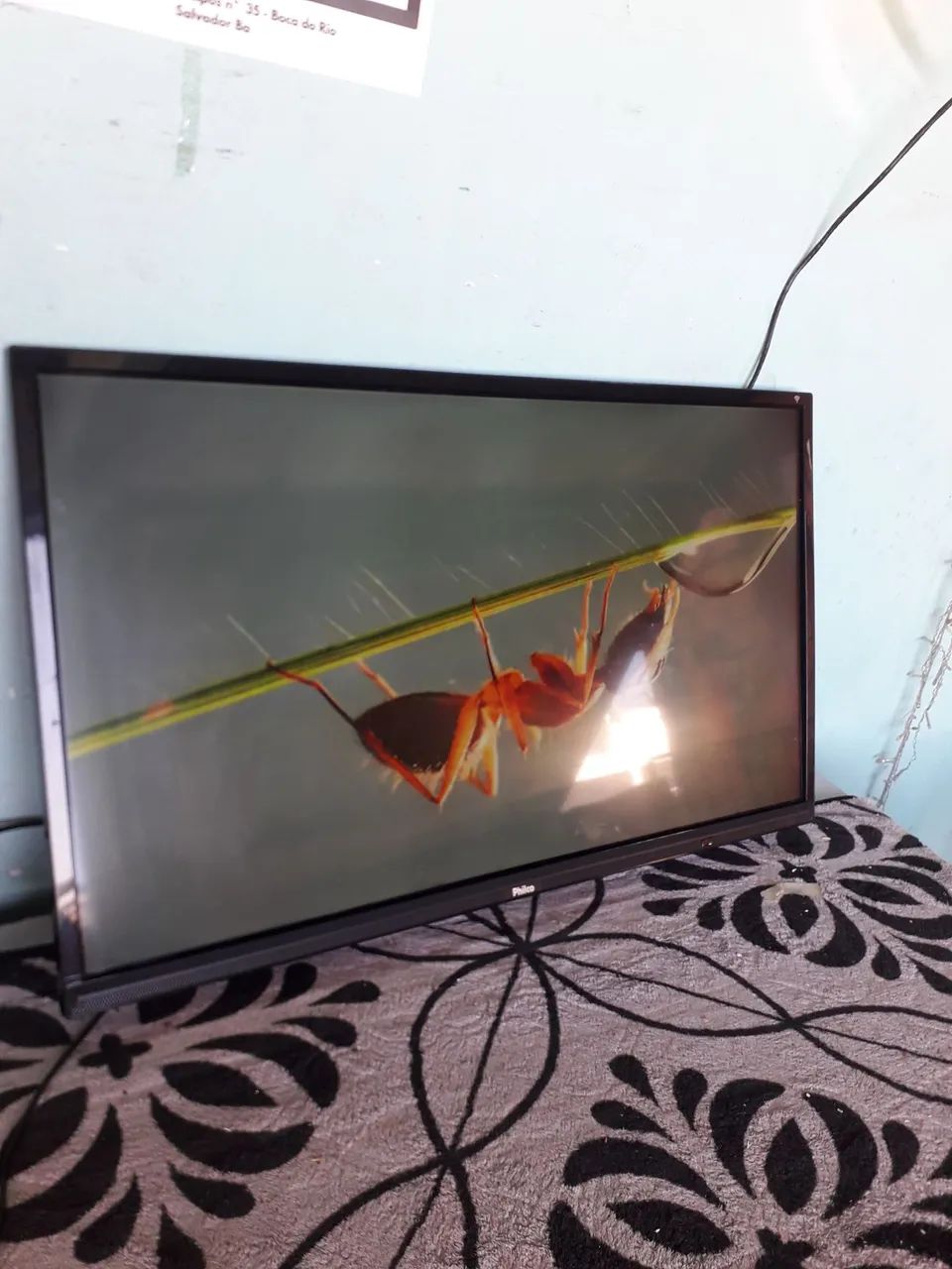 TV Smart philco 32 perfeita - TVs - Boca do Rio, Salvador 1466246736 | OLX