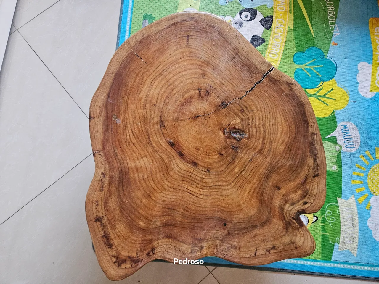 "tora de madeira" no Brasil