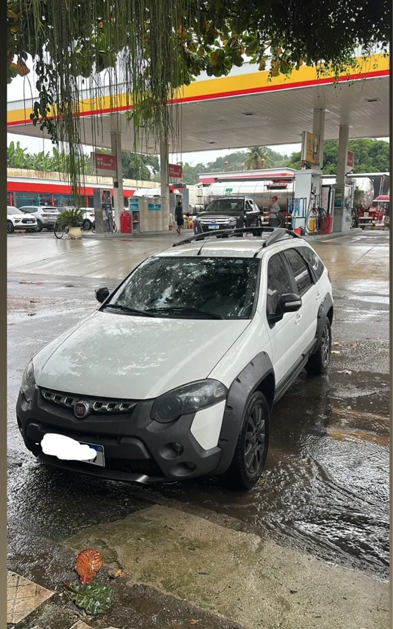 FIAT PALIO 2019 Usados e Novos