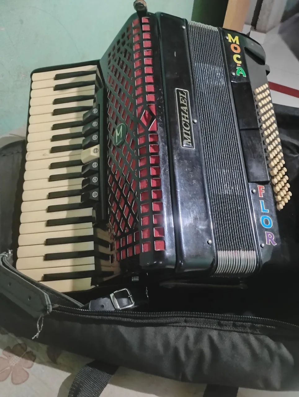 Vendo Acordeon Michael 80 baixos - Instrumentos musicais - Goiânia ...