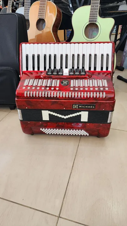 "acordeon michael" - Instrumentos musicais no Brasil