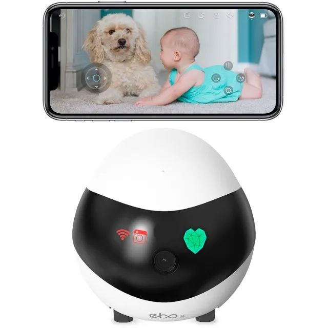 "robo foto" no Brasil