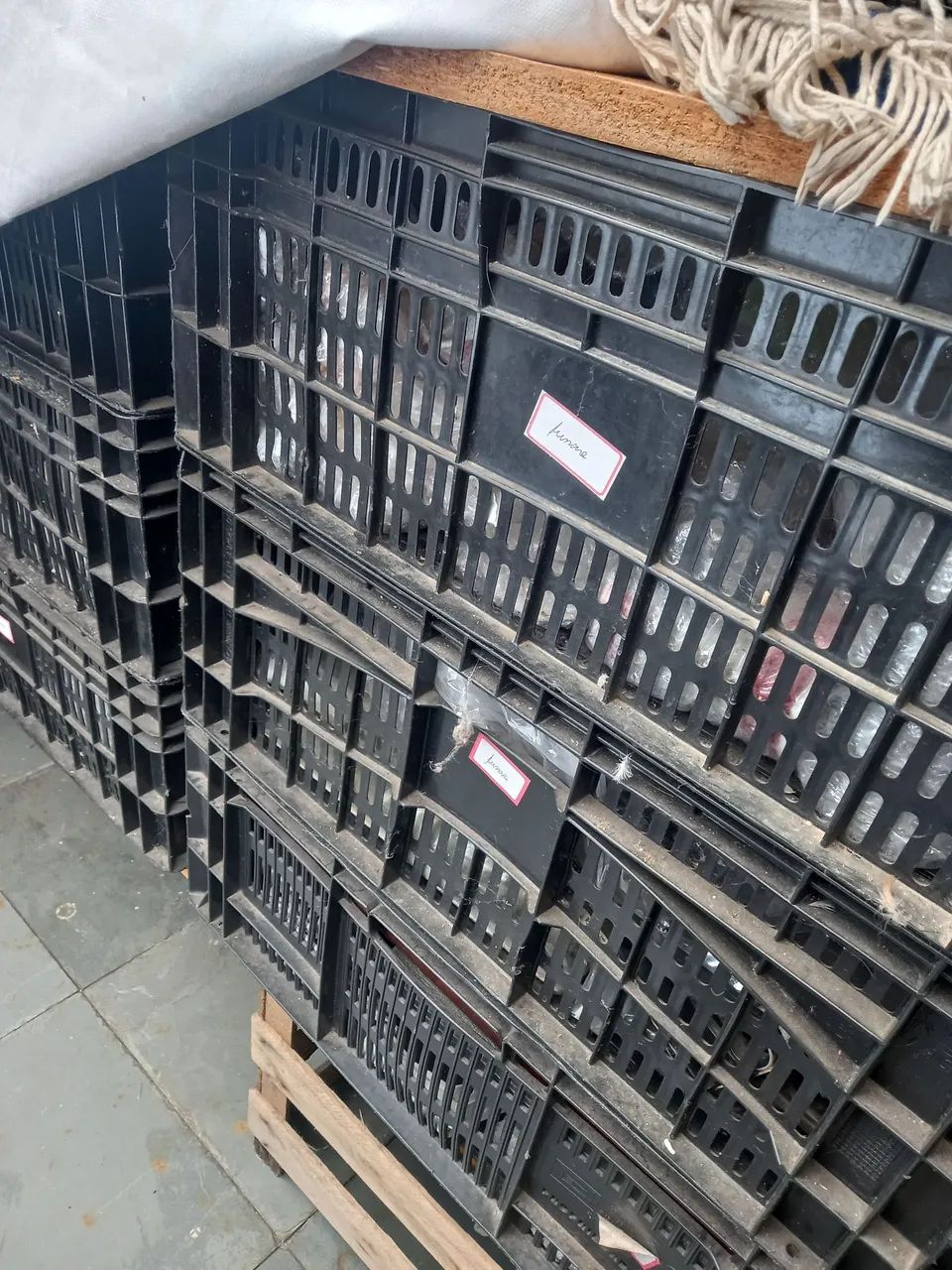 Caixas Plásticas vasada empilhavel para sacolão - Equipamentos Para ...