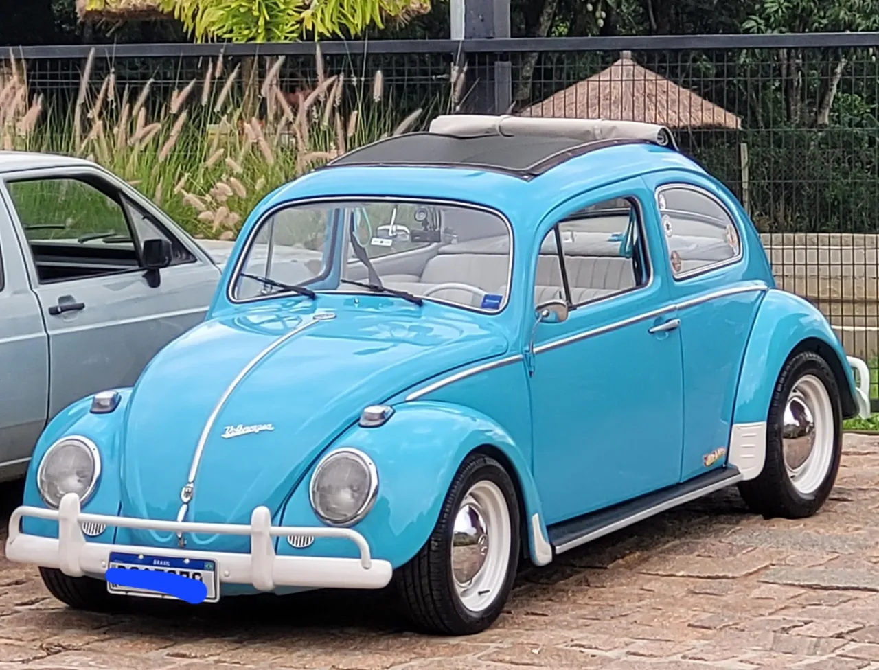 VOLKSWAGEN FUSCA 1969 Usados e Novos