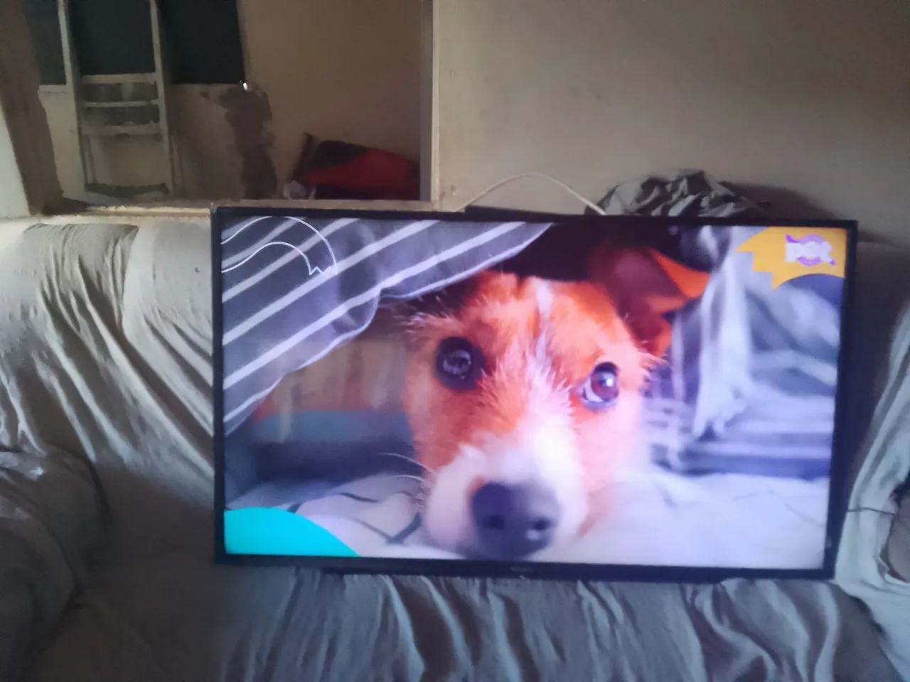 "tv box 4k" no Brasil