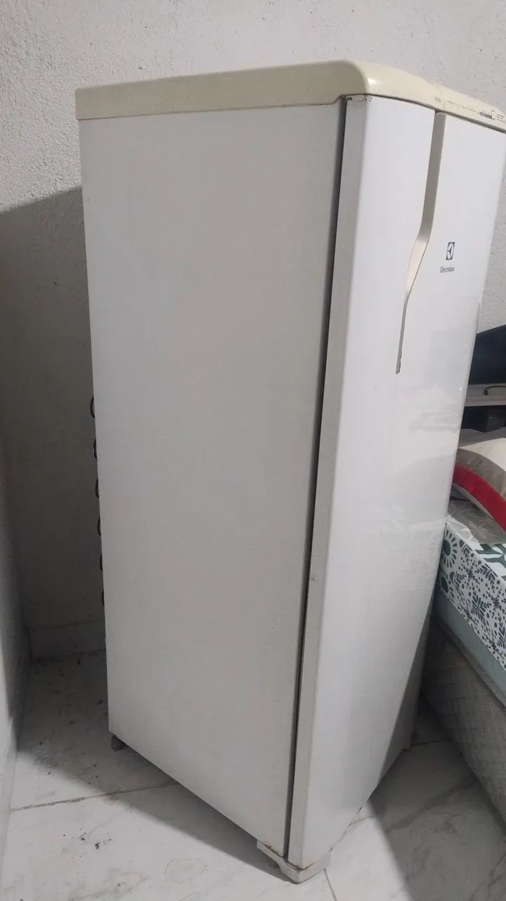 Geladeira/Refrigerador Electrolux 240 Litros 1 Porta Classe A RE31 ...