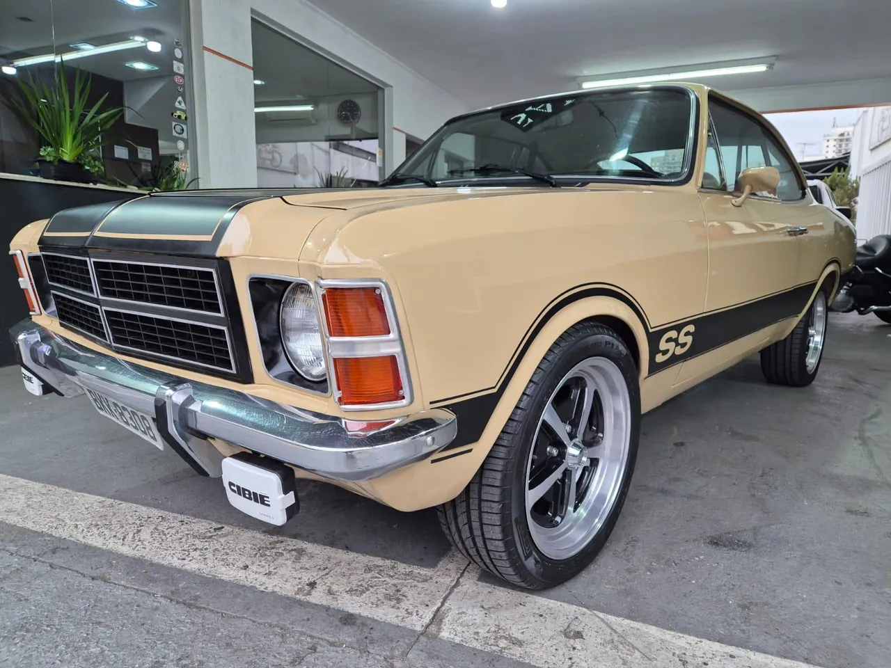 CHEVROLET OPALA 1978 Usados e Novos
