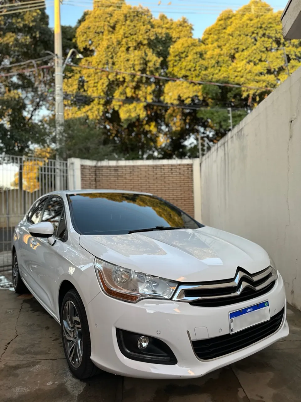 CITROEN C4 2014 Usados e Novos
