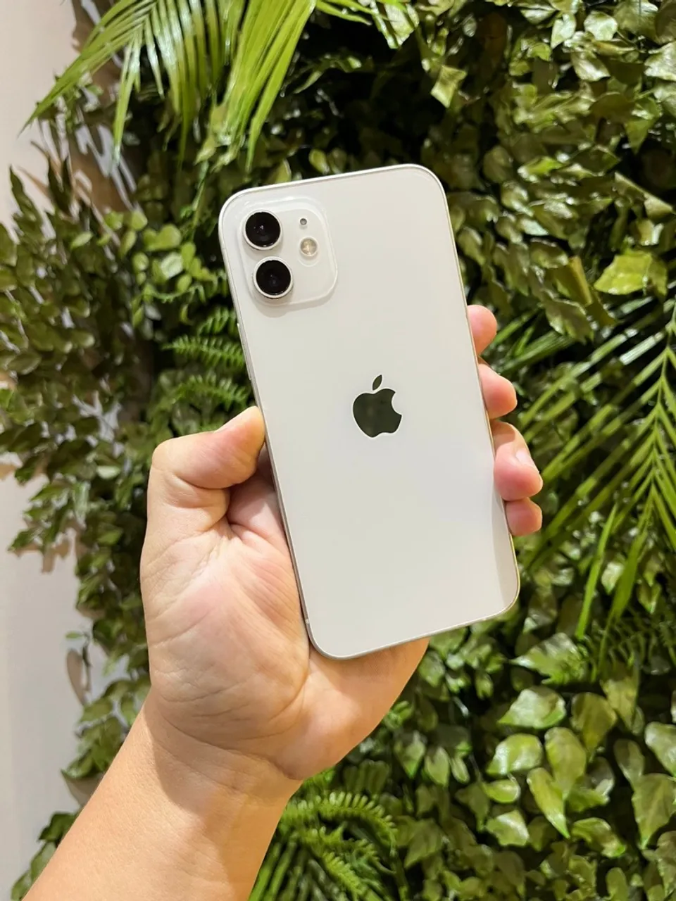 Celulares APPLE IPHONE 12 Usados, seminovos e Novos no Brasil