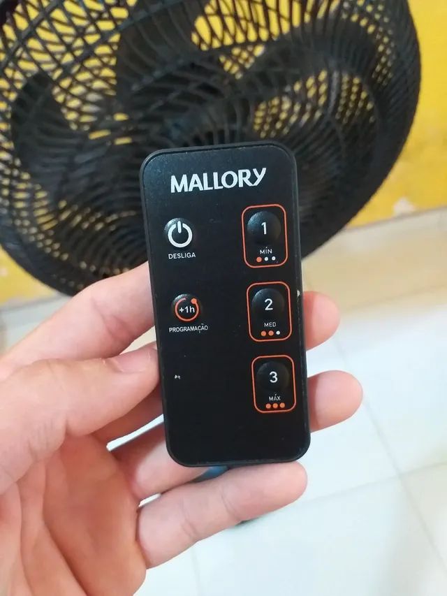 Mallory na Grande Recife e região, PE