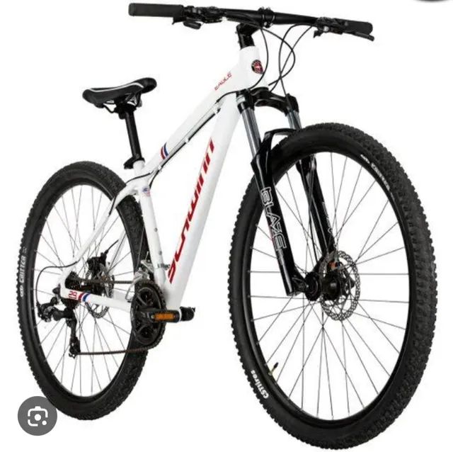 "bicicleta branca aro 29" no Brasil