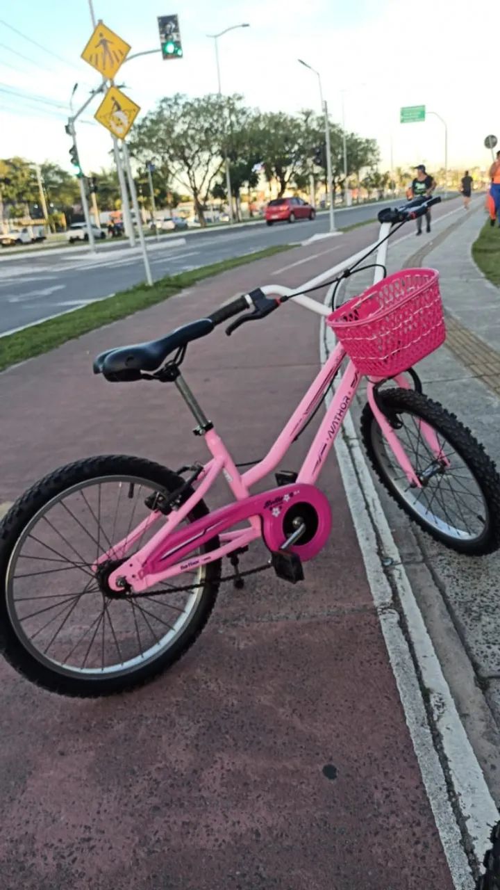 Bicicleta Infantil Bella Aro 20 Aro de Alumínio com Cesta - Rosa ...