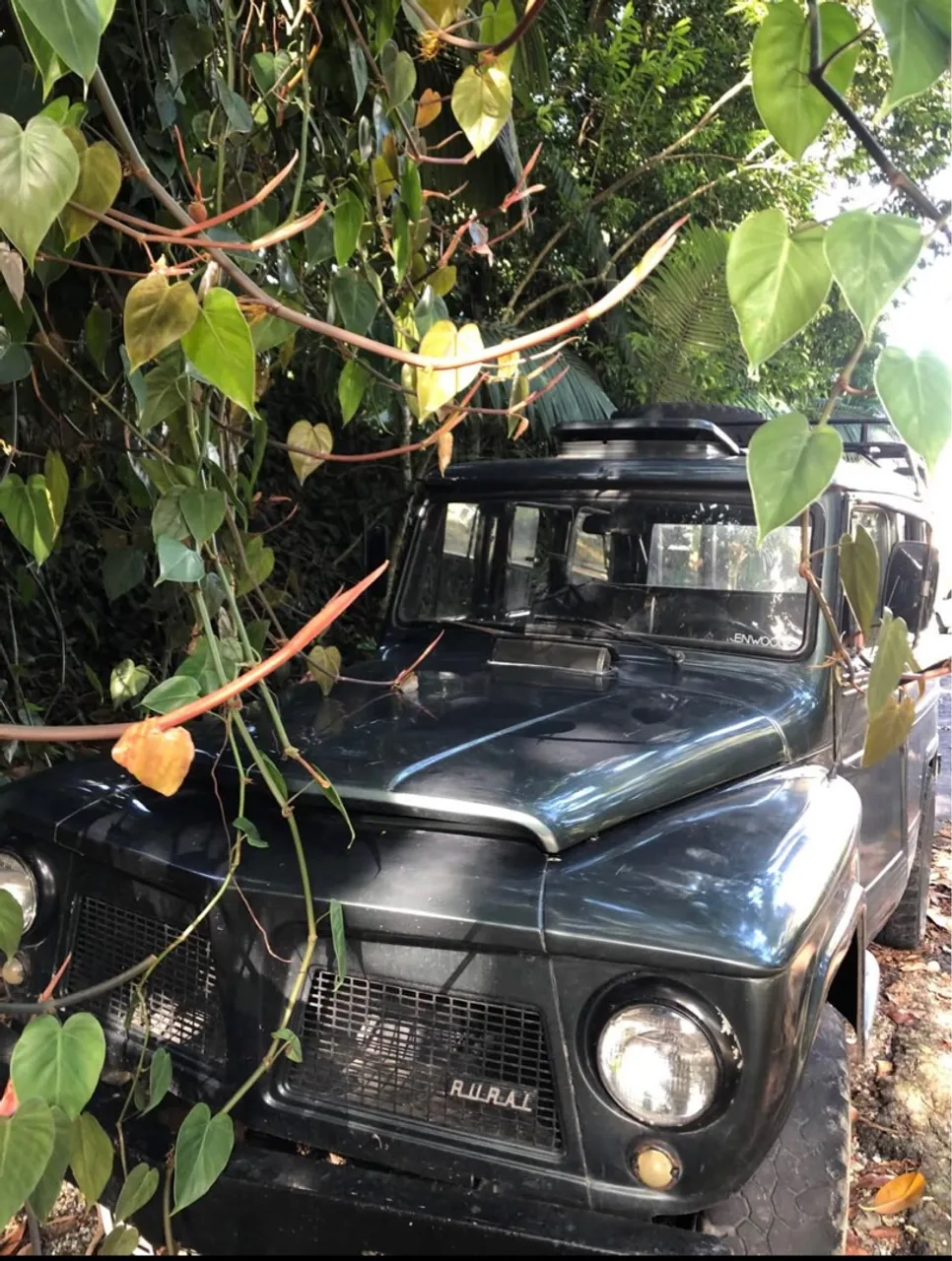 "ford rural willys" no Brasil