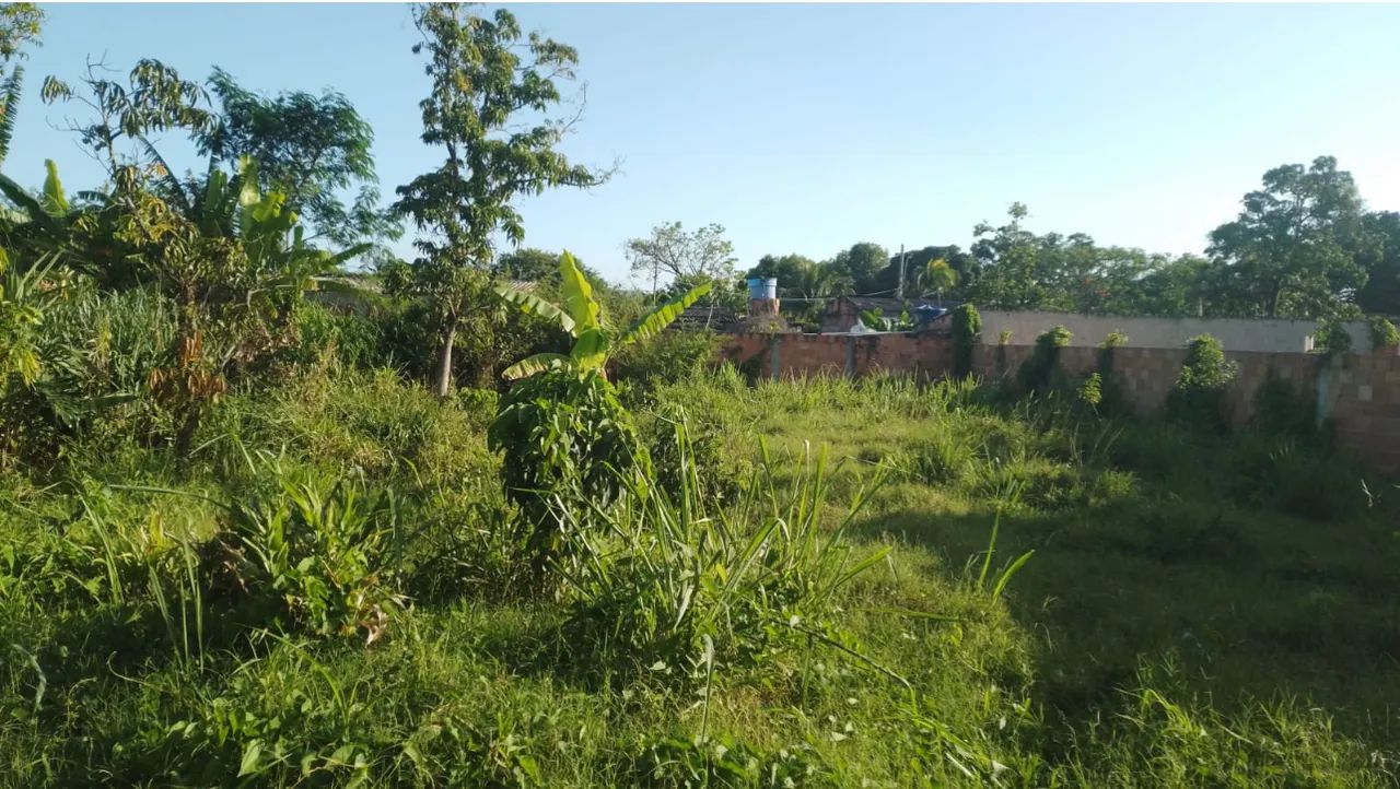 Terreno Km32 - Próximo a Ambev 12x30 - Terrenos, sítios e fazendas - Km ...