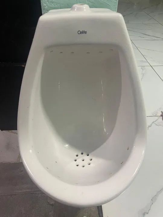 Vaso Sanitário Cellite - Torneiras, Duchas e Vasos - Itinga, Lauro de ...