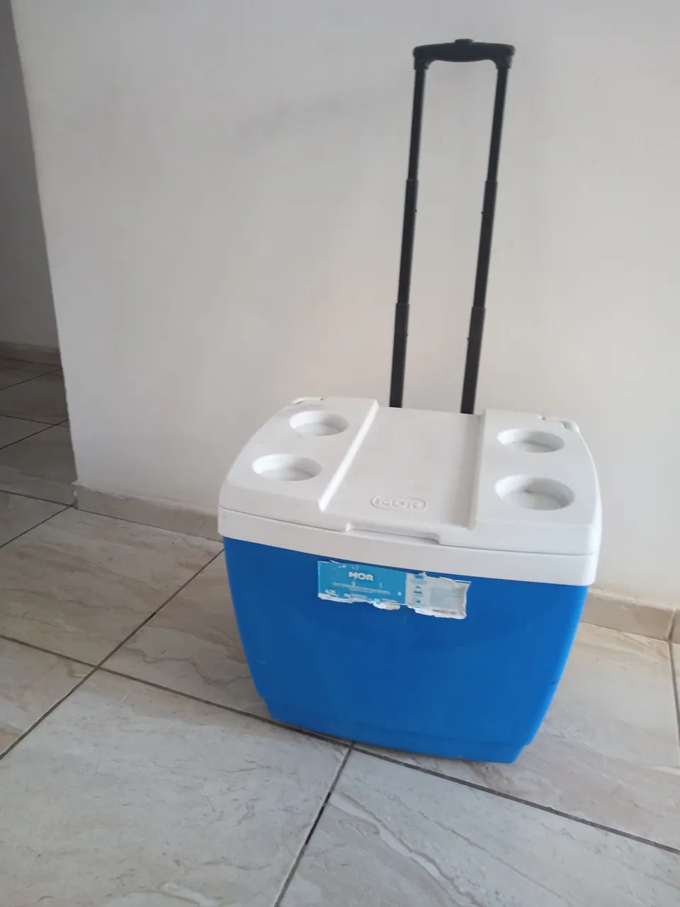 "cooler 42 litros" no Brasil