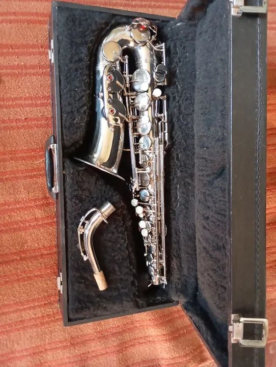 Weril Brasil con fa # agudo 1.400.00 - Instrumentos musicais - Jardim ...