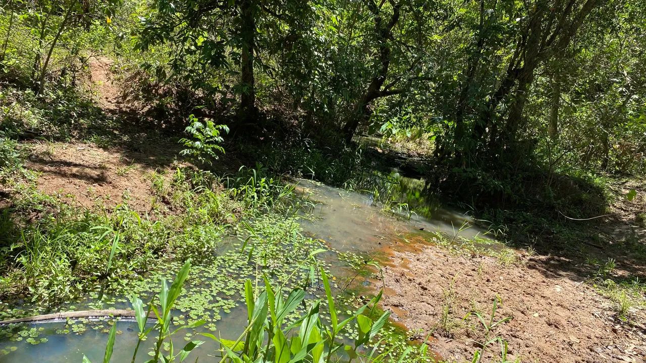Chácaras de 2mil mt em trindade próxima de Santa Maria! - Terrenos ...