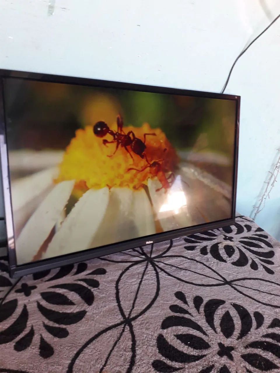 TV Smart philco 32 perfeita - TVs - Boca do Rio, Salvador 1466246736 | OLX