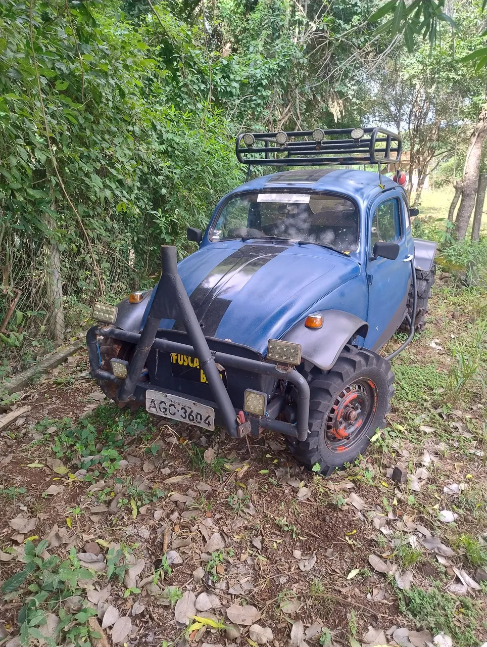"fusca baja buggy" - Carros Usados e Novos à venda