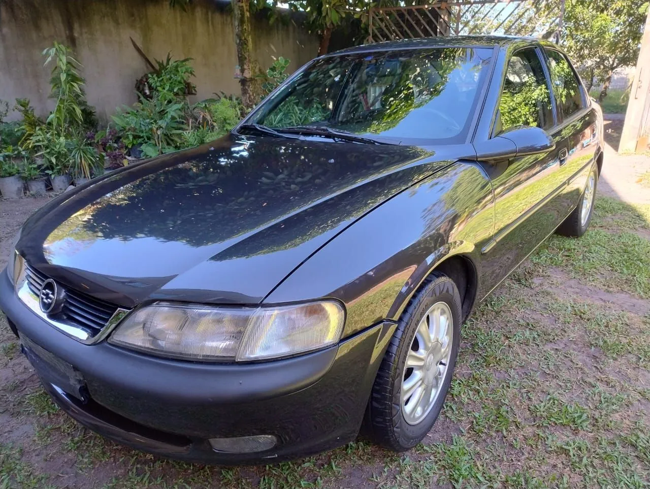 Chevrolet Vectra 1998 Usados e Novos